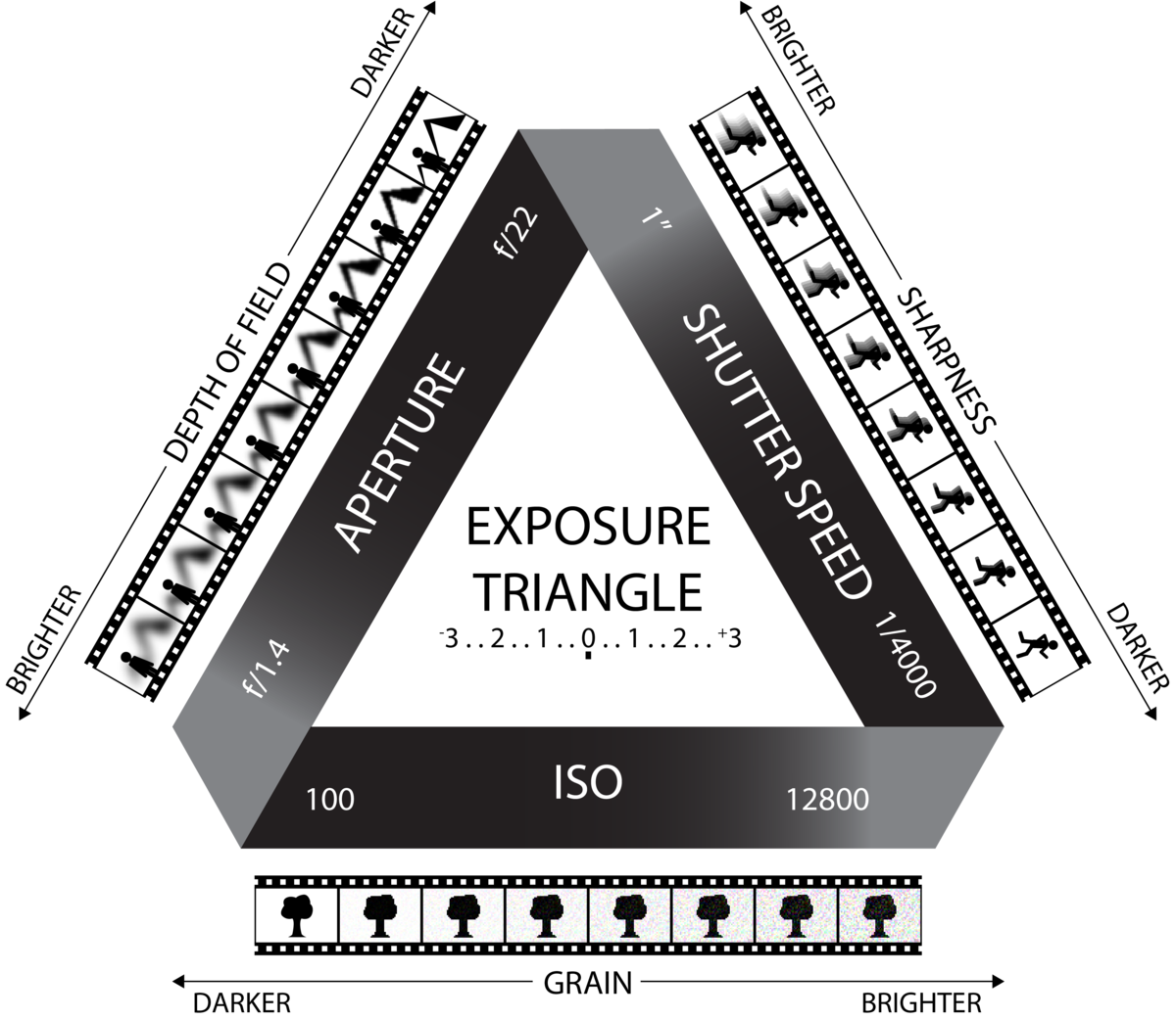 Camera Fundamentals - Help Wiki