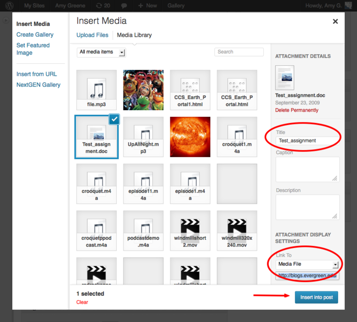 Attach a file to a WordPress post or page - Help Wiki