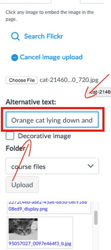 Alt Text and Captioning - Help Wiki