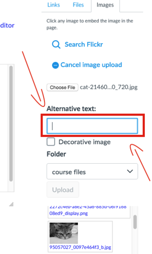 Alt Text and Captioning - Help Wiki
